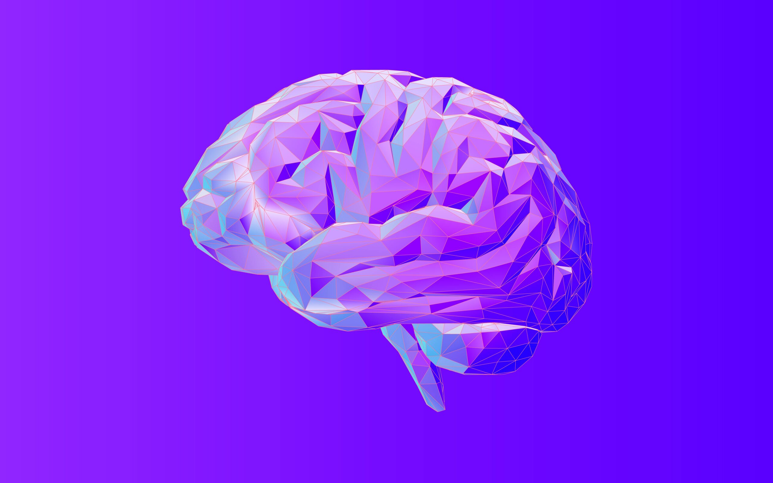 The Brain of the Beholder: How Aesthetics Influence User Experience ...
