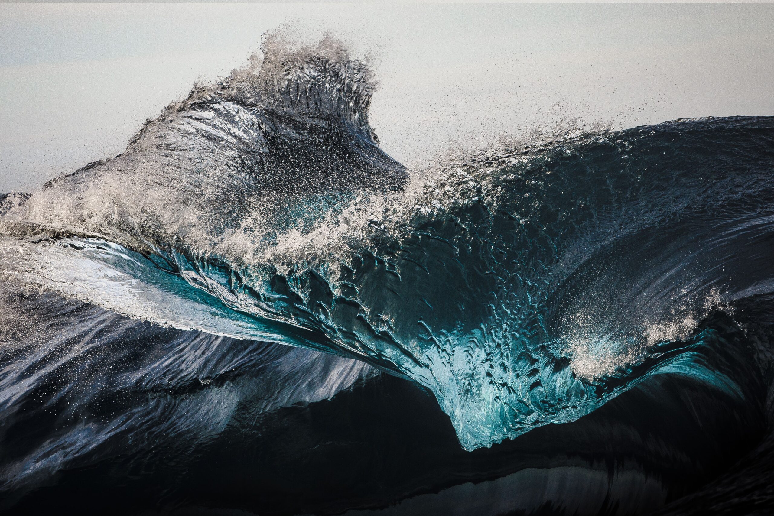 The Rising Tide of Fraud: How Credit Unions Can Fight Back - CUSO ...