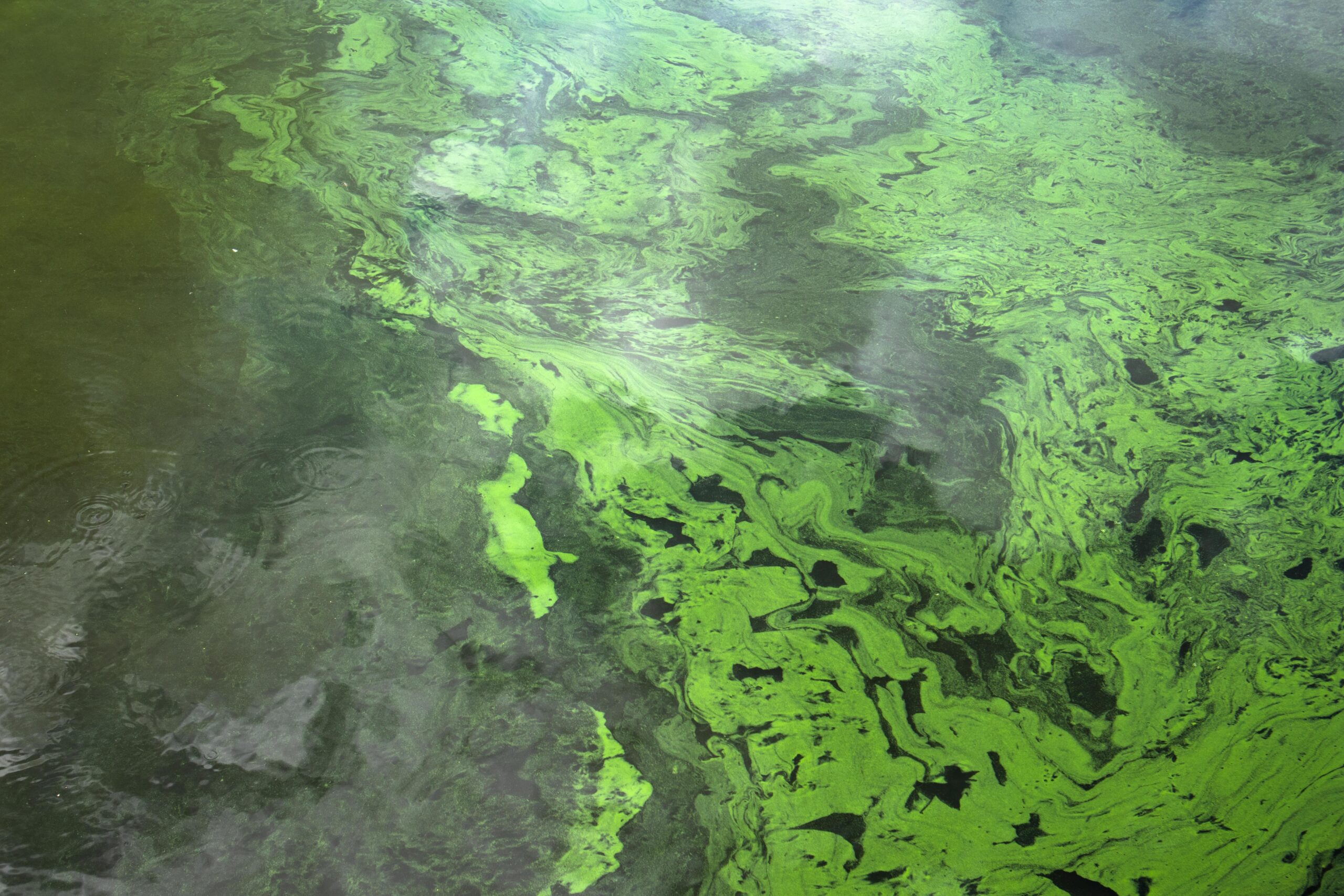 The Cost of Winning: Why Zero-Sum Thinking is Poisoning the Credit Union Movement - CUSO Magazine